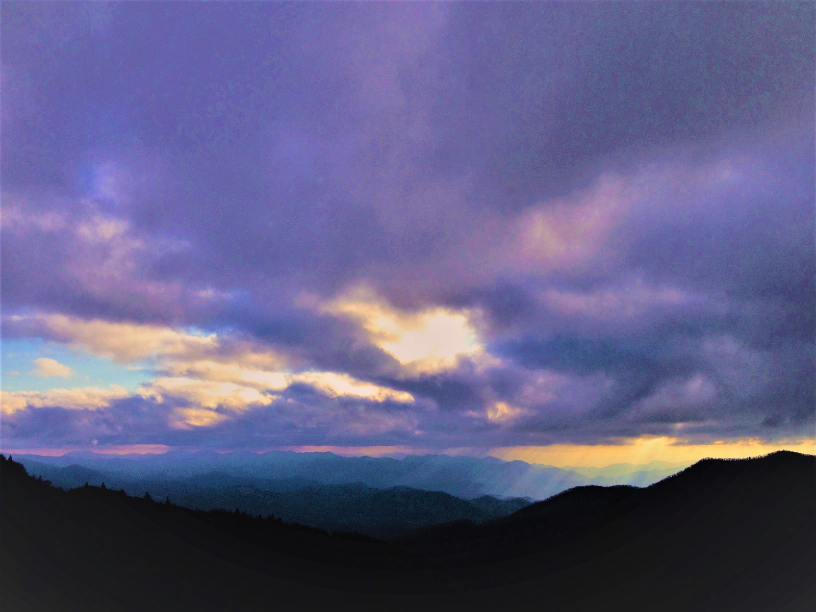 Teri Leigh Teed | Photography