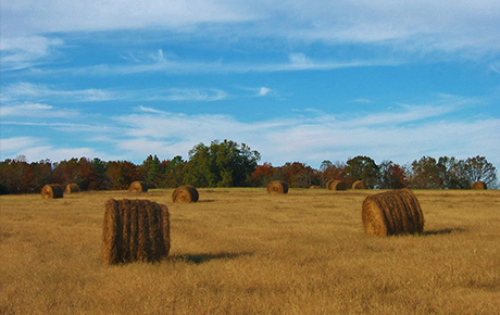 Teri Leigh Teed | About