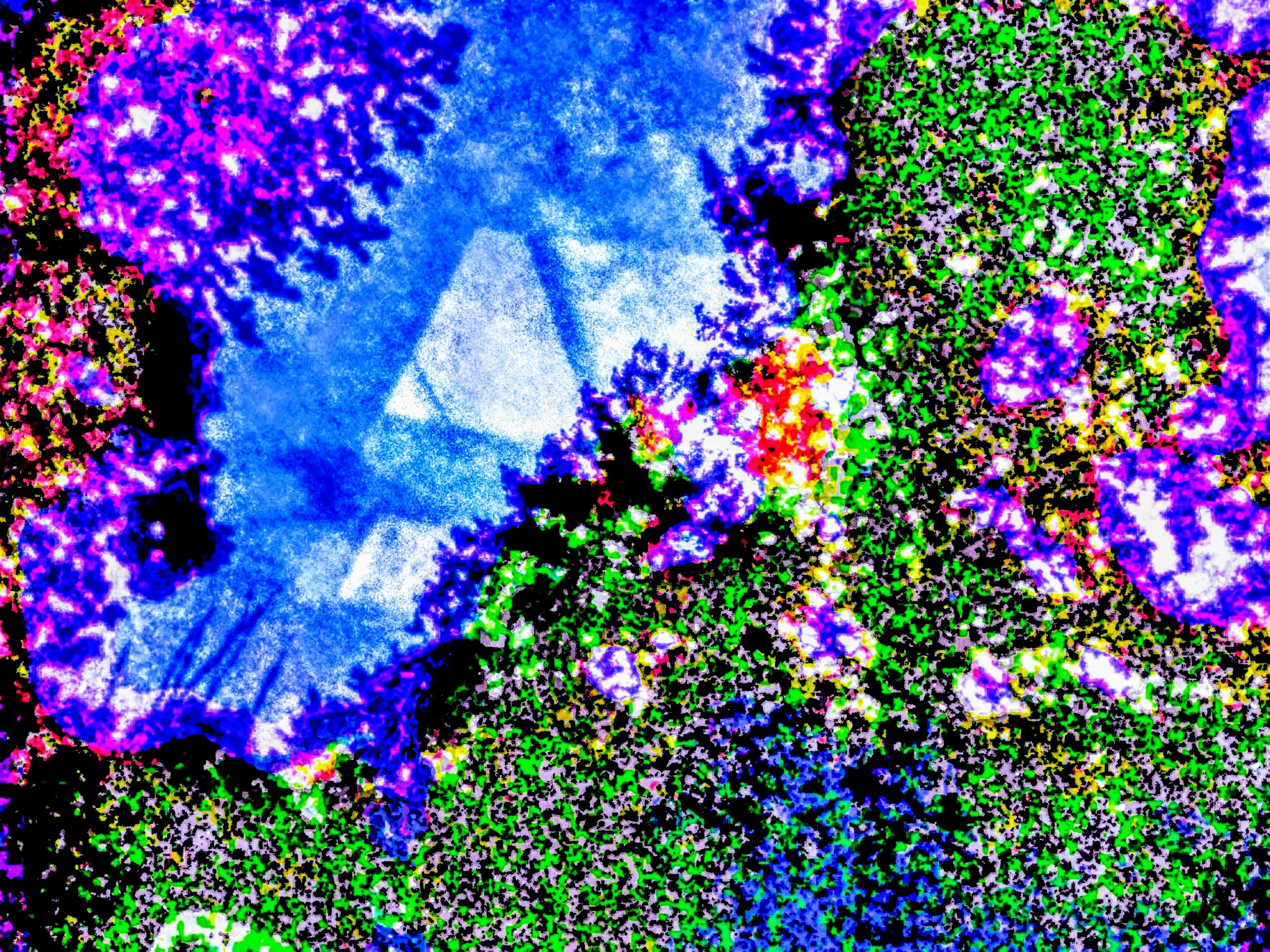 Teri Leigh Teed | Symbols of Summer